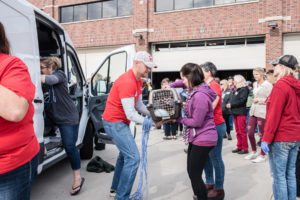 About Safe Hands Rescue – Safe Hands Rescue