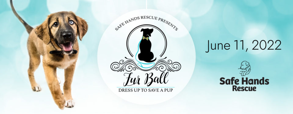 Home - Safe Hands Rescue