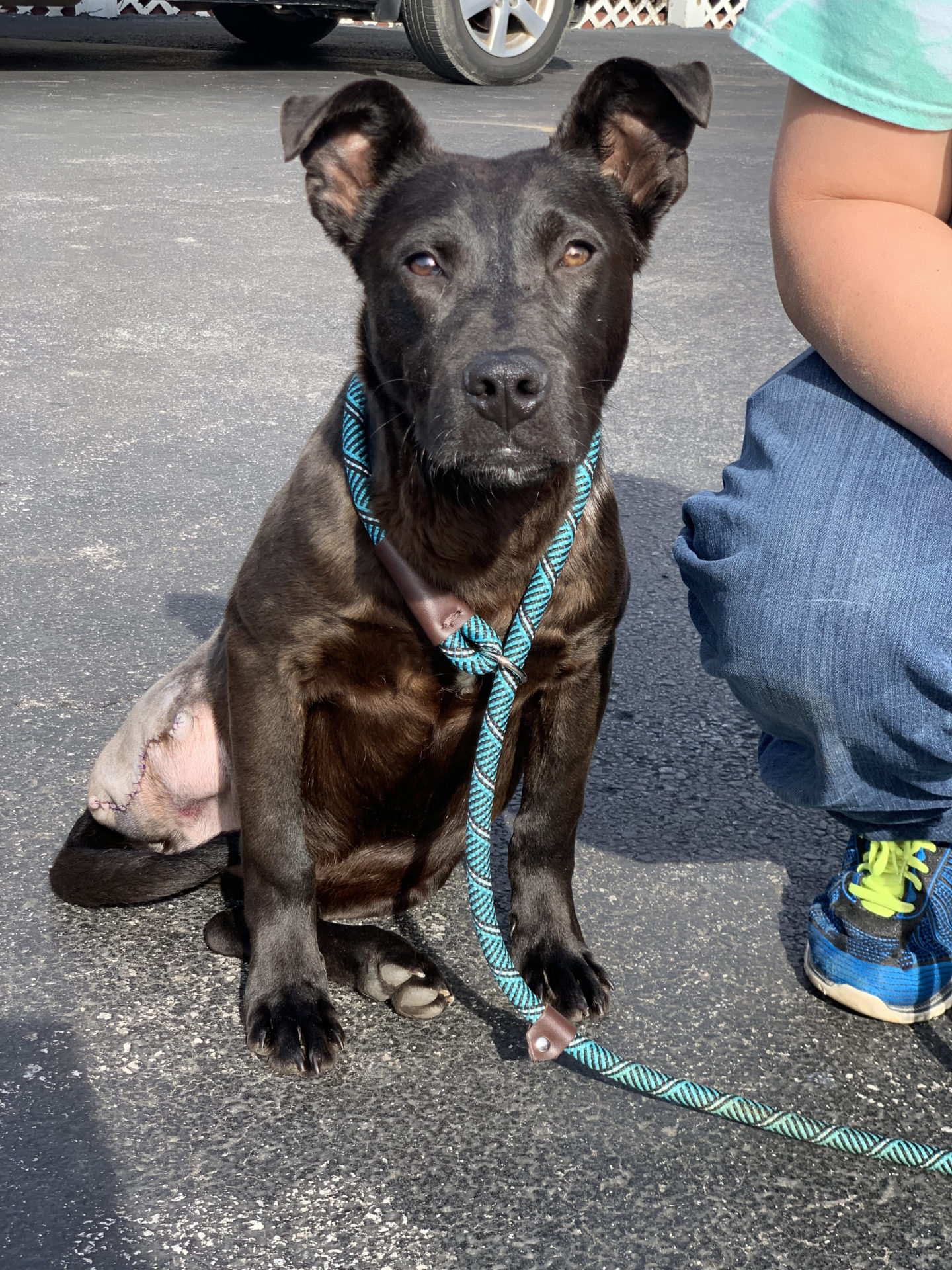 Elijah’s Story – Safe Hands Rescue