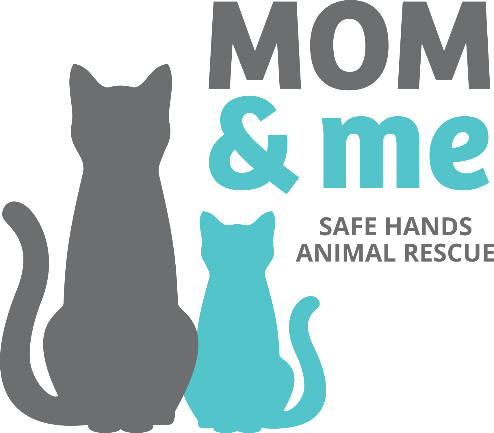 Adoption Process – Safe Hands Rescue
