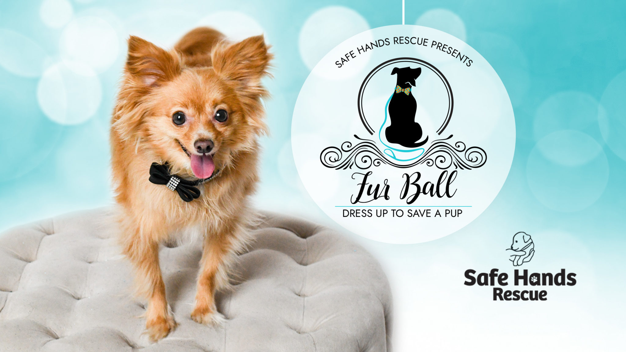 Home - Safe Hands Rescue