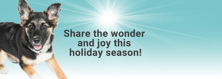 Home - Safe Hands Rescue